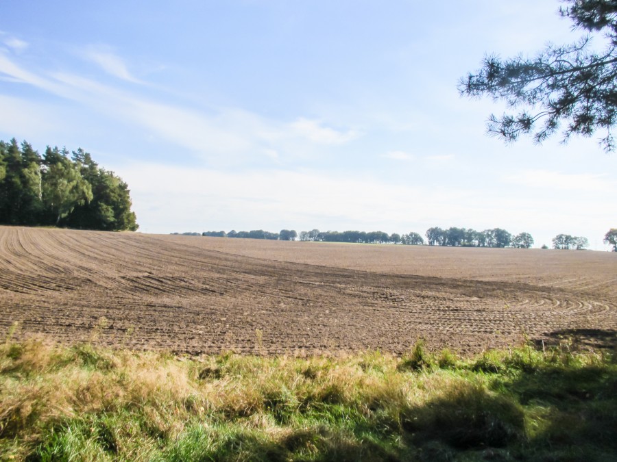 Field Soil Testing – Extension Portage County